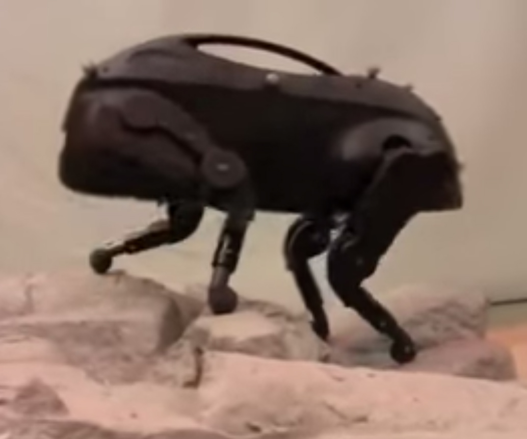 Welcome to NREF | The National Robotics Education Foundation